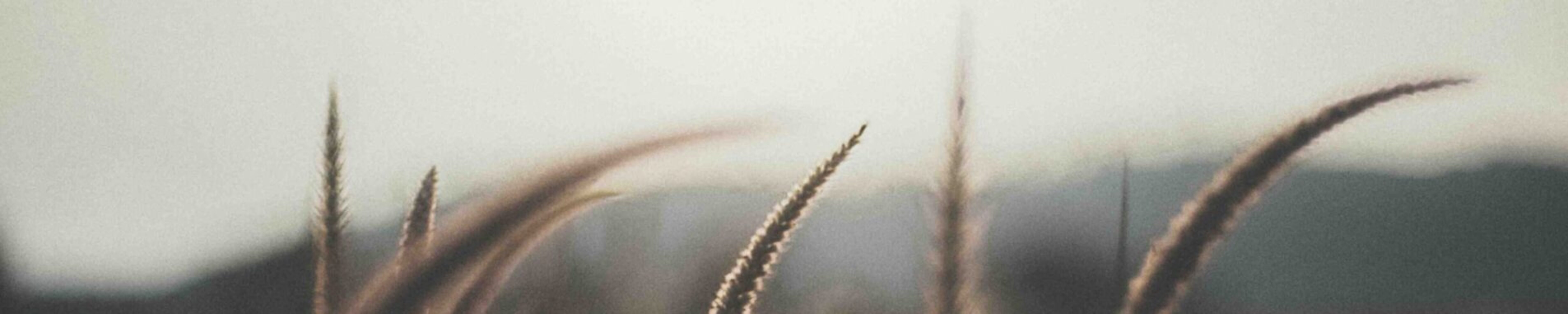 Overlijden Dr. Lieve Peeters - Practimed